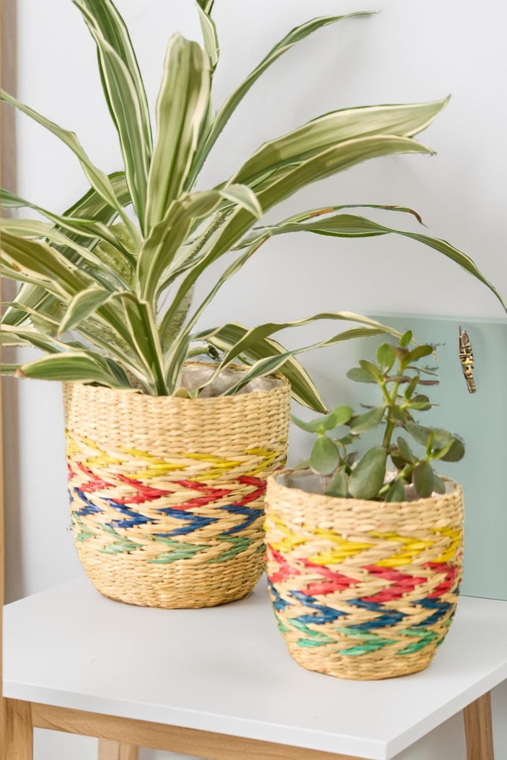 Rainbow Seagrass Planter Set